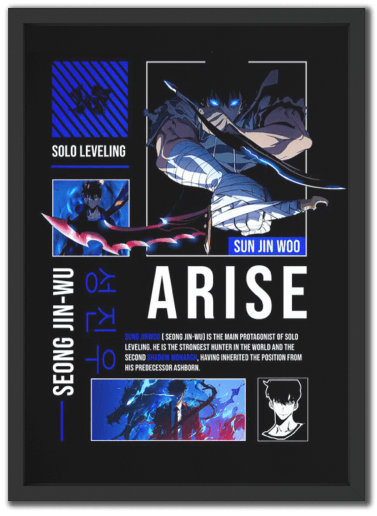 Solo Leveling - Arise – Visualized